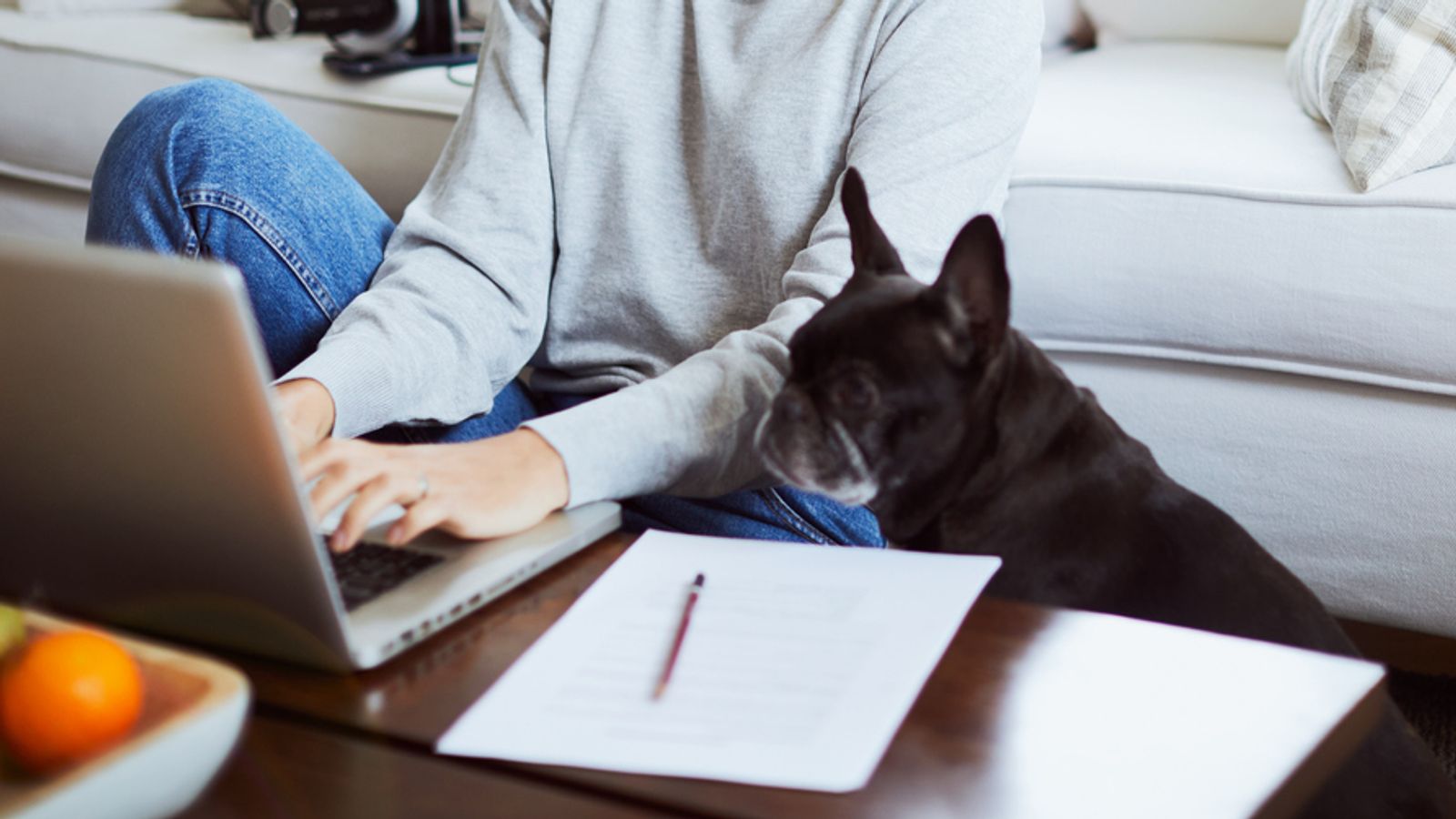 One in four dog owners noticed new behavioural problems in their pets ...