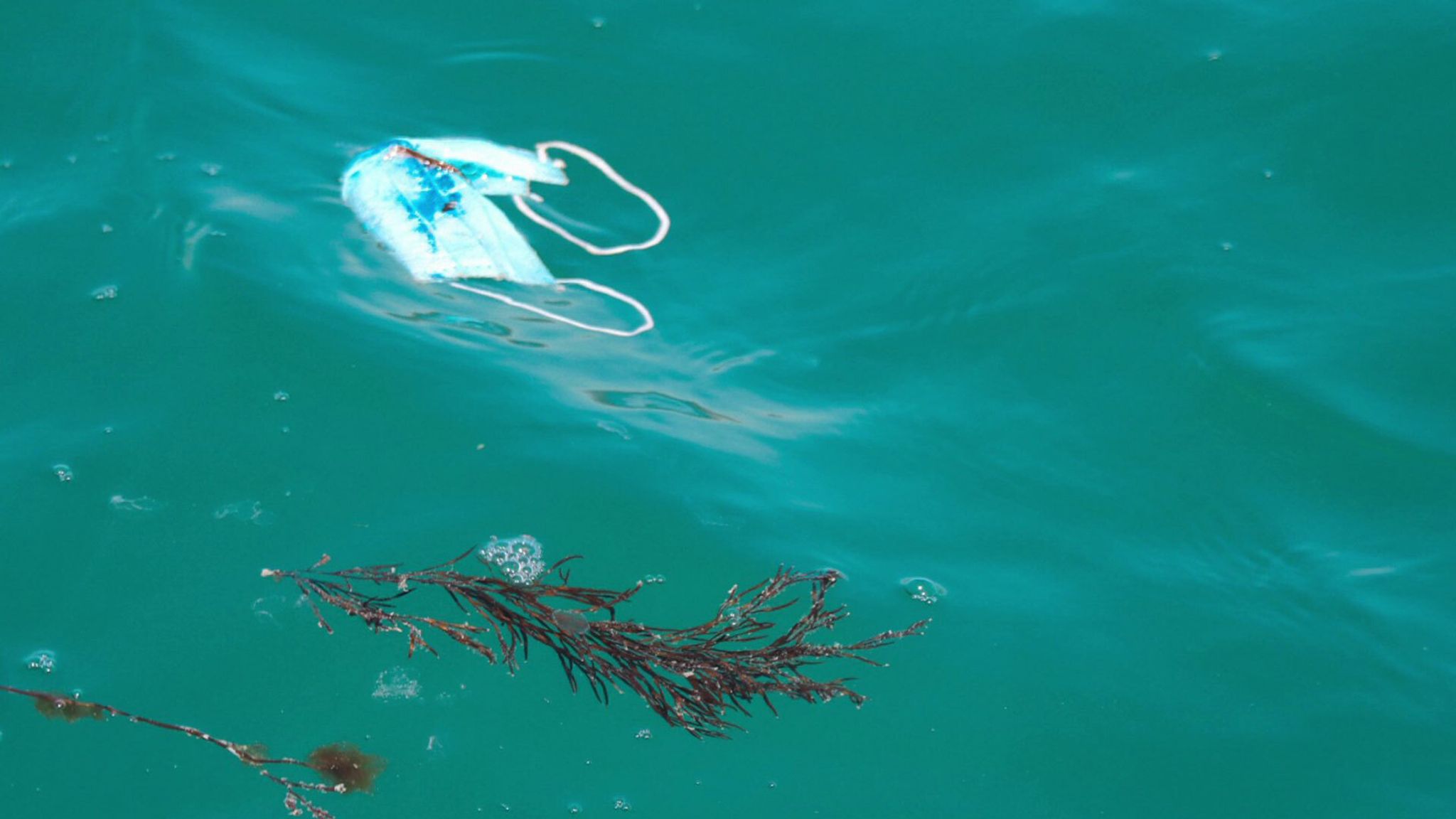 Coronavirus: Disposable face masks creating new plastic pollution ...