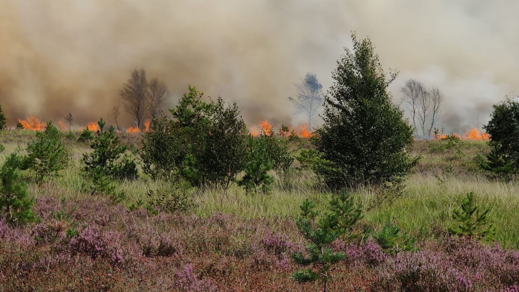 'Major incident' declared as Surrey wildfire forces 120 people to leave ...