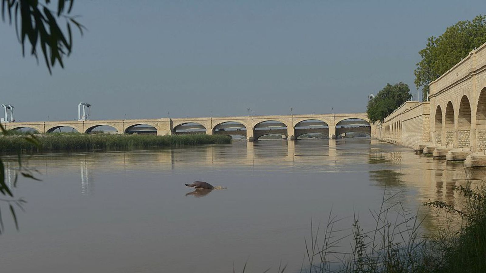 Climate change behind rise and fall of ancient Indus Valley ...