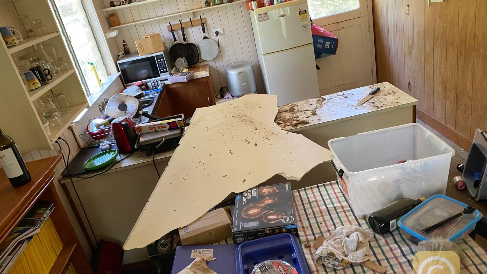 Pythons crash-land into man's kitchen after fighting over mate | World ...