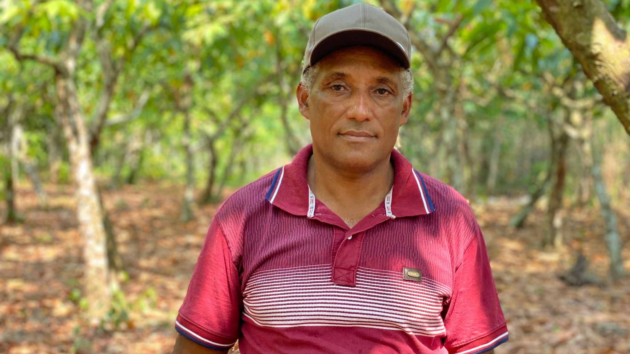 Amazon rainforest: Farmers are losing everything to deforestation fires ...