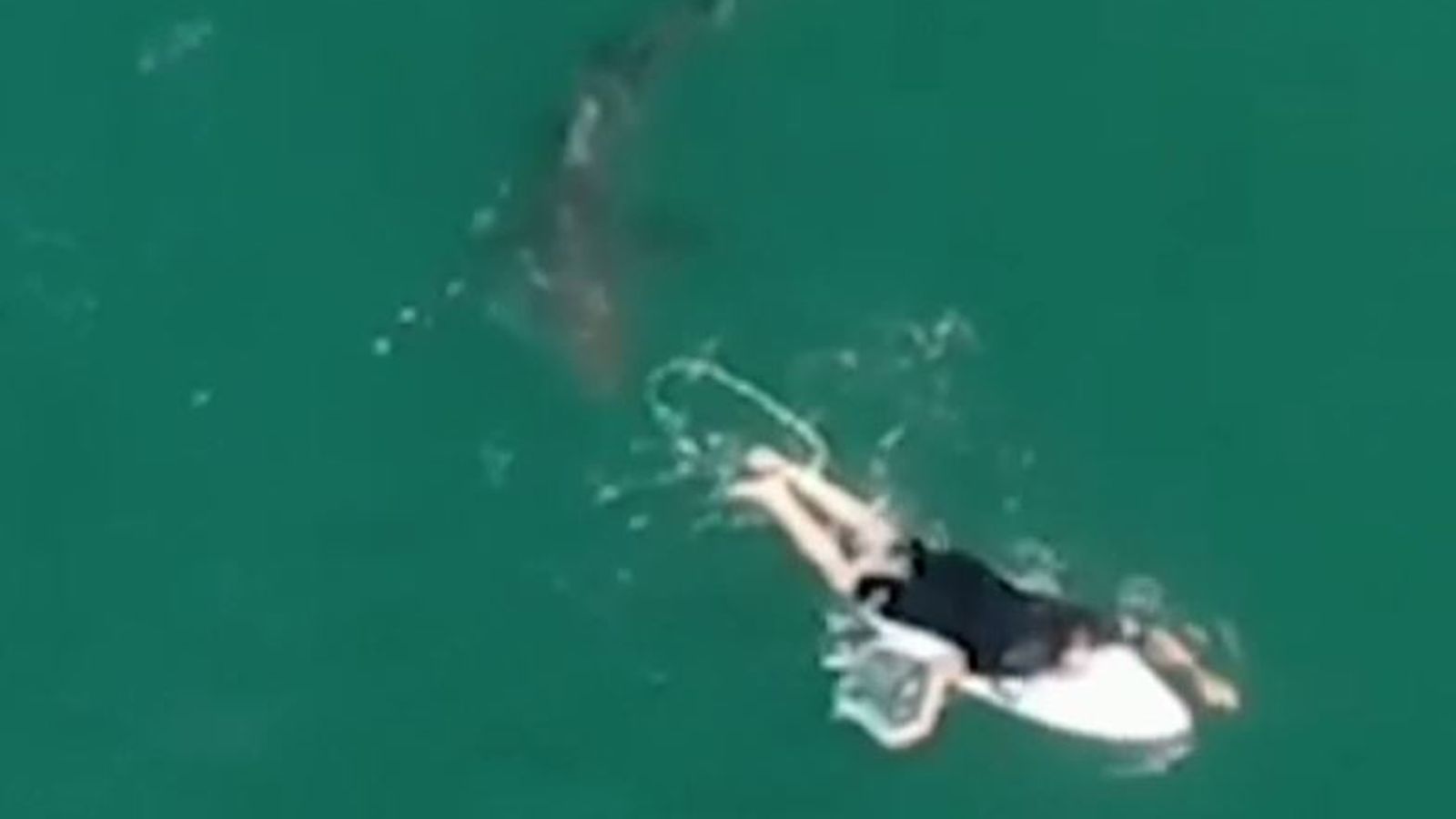 Australian surfer's close encounter with shark | World News | Sky News