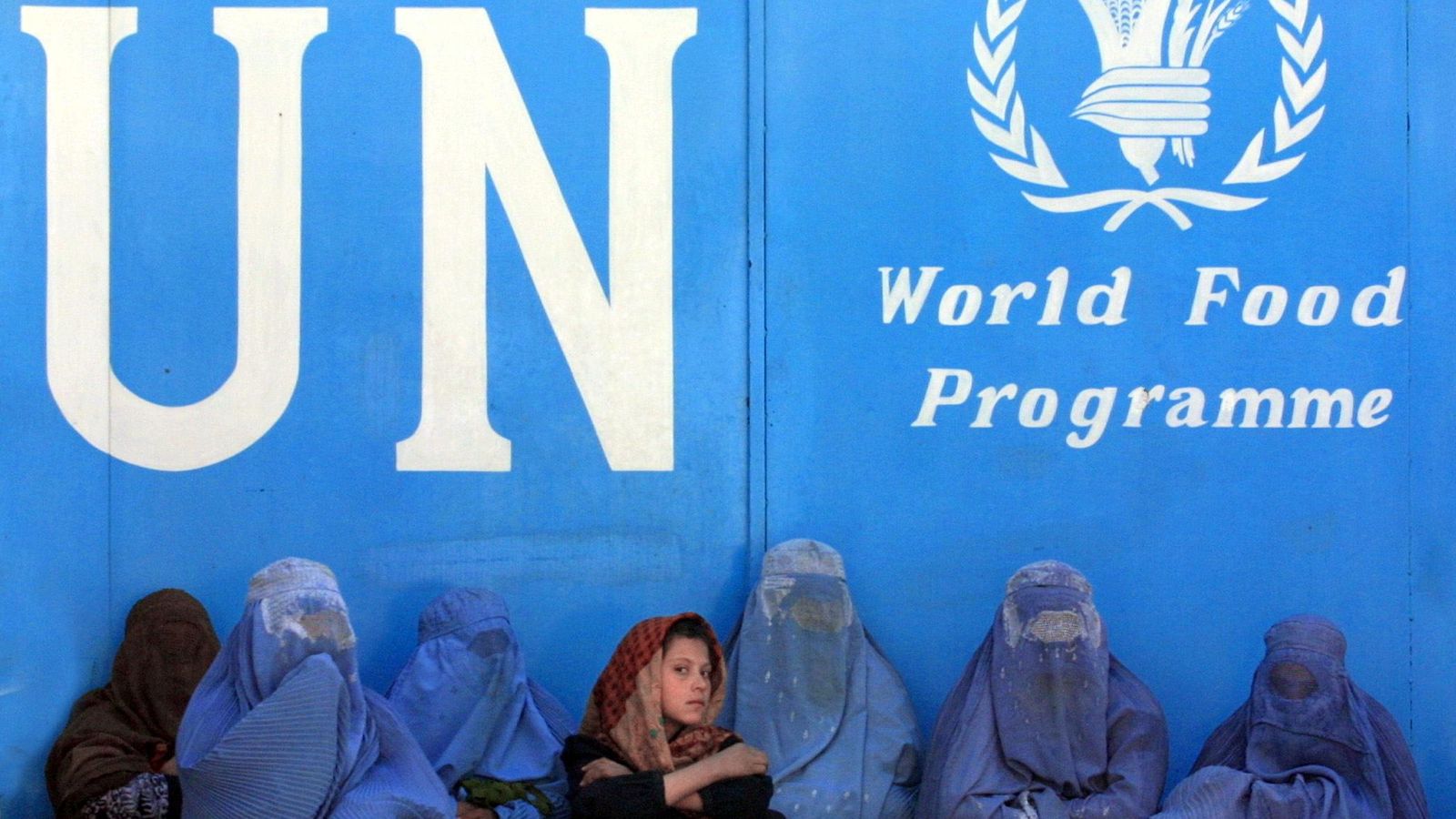 Nobel Peace Prize: World Food Programme named this year's winner ...