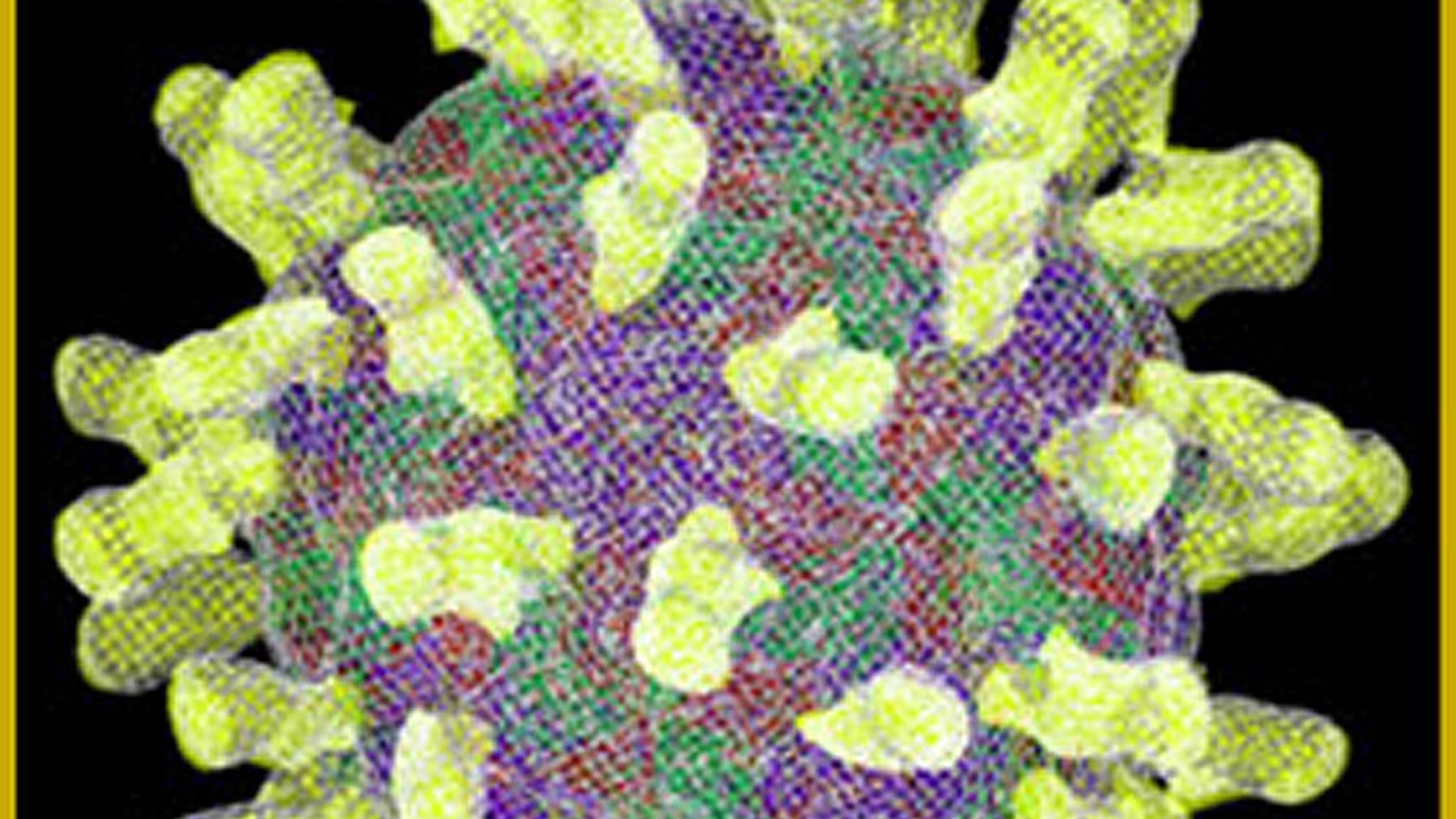 Coronavirus: Researchers suggest common cold could offer COVID-19 ...