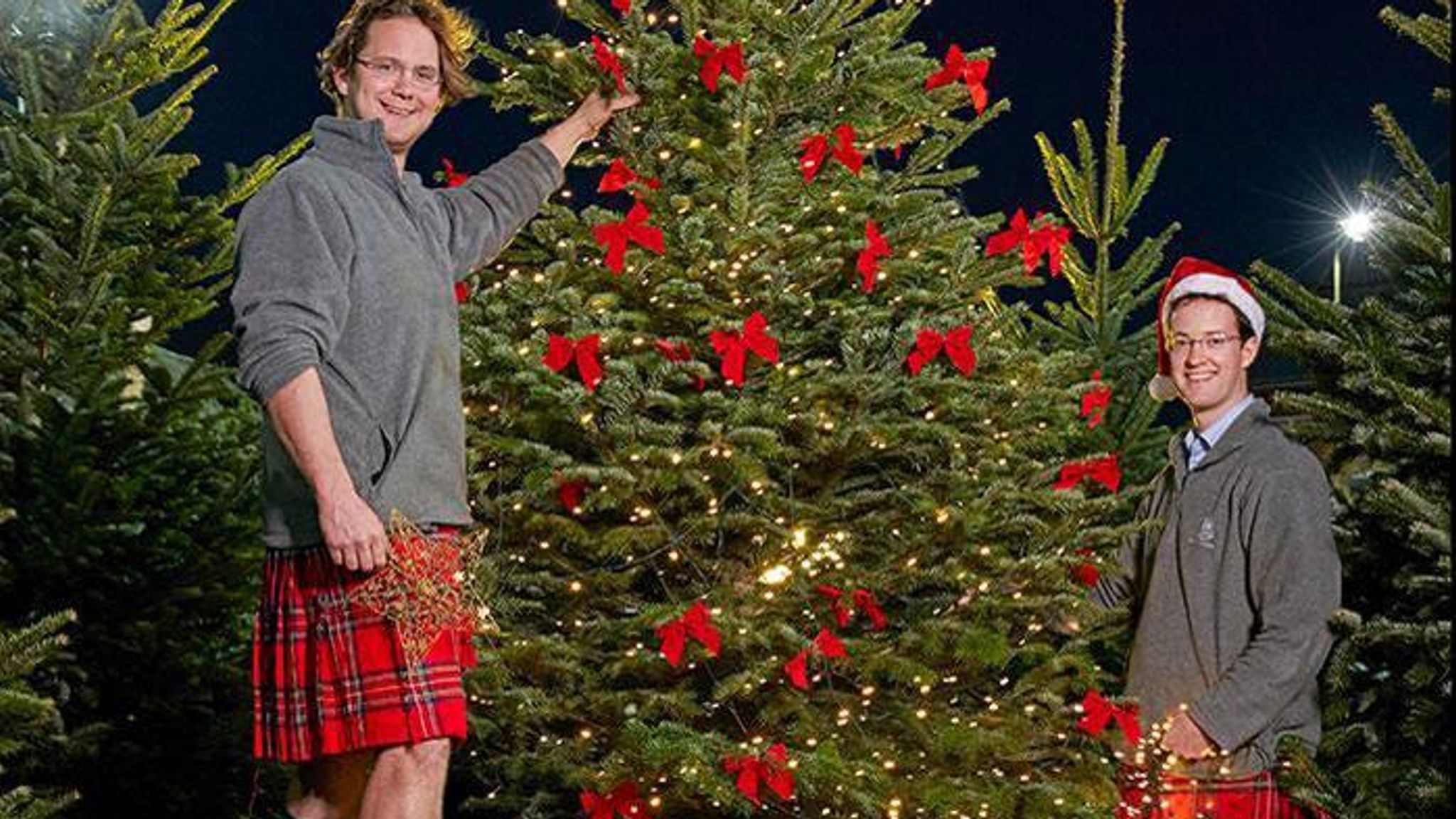 Hundreds of Christmas trees stolen from family firm that once supplied ...