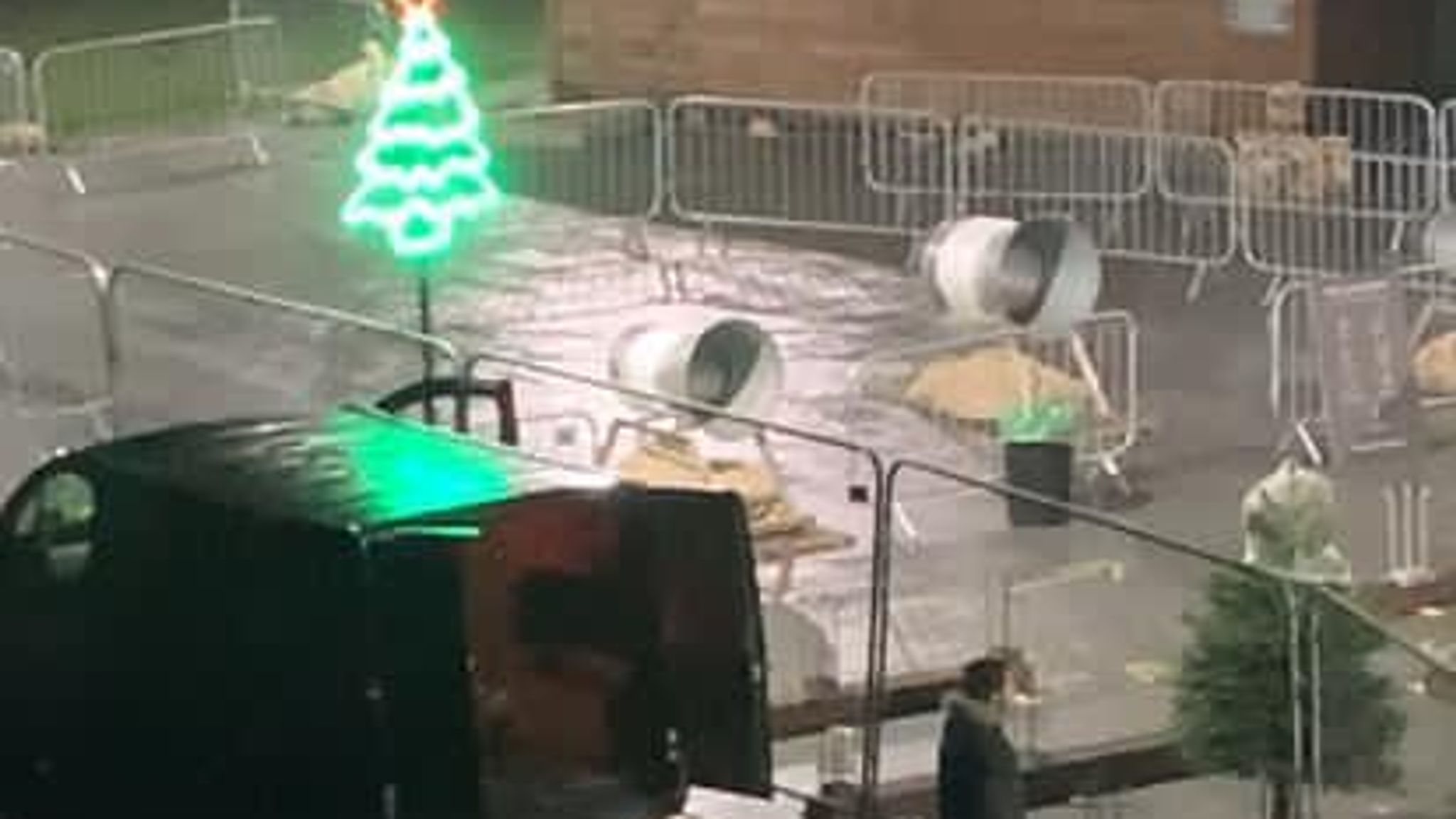 Hundreds of Christmas trees stolen from family firm that once supplied ...