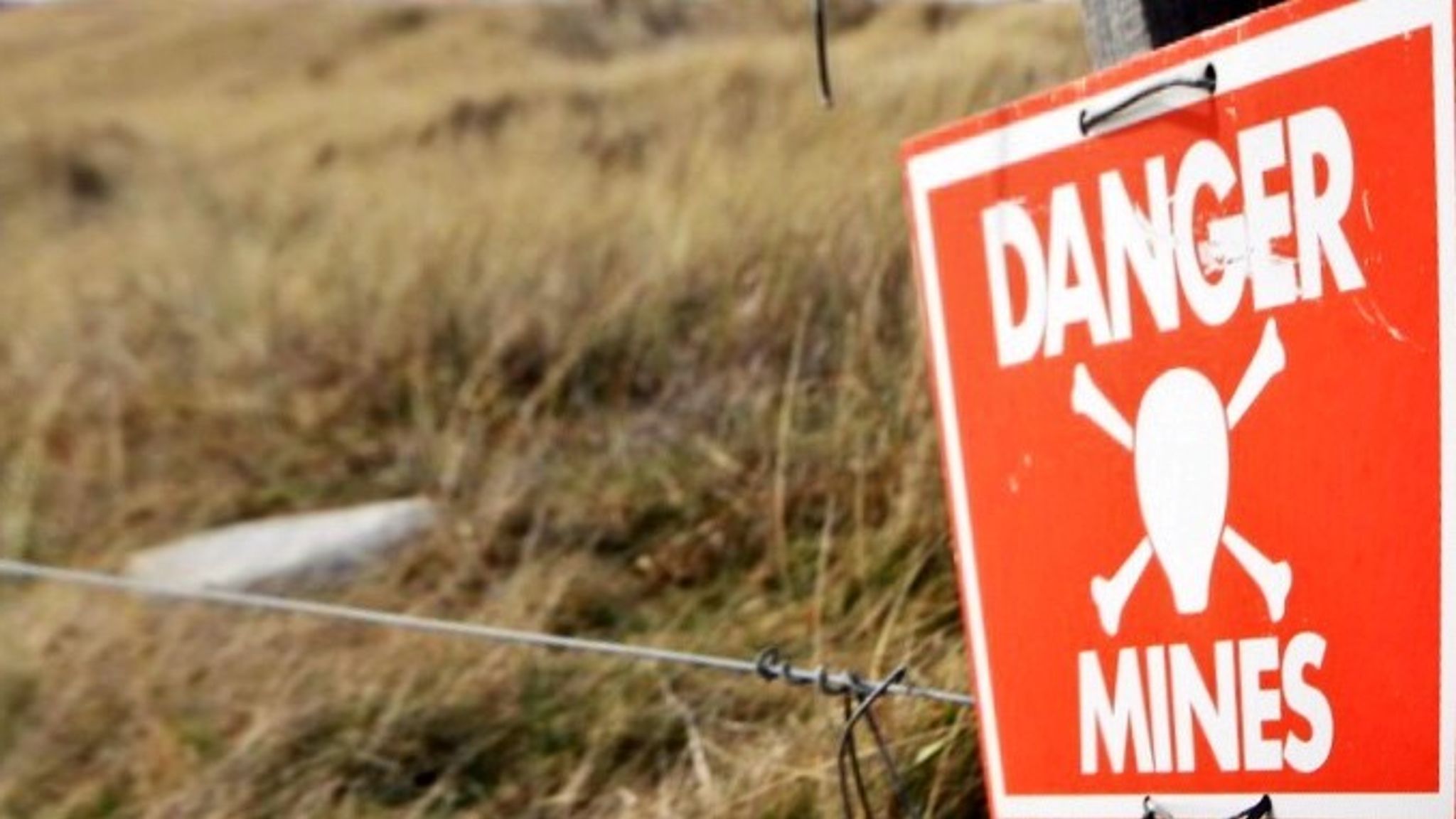 Falkland Islands become mine-free almost 40 years after conflict ...