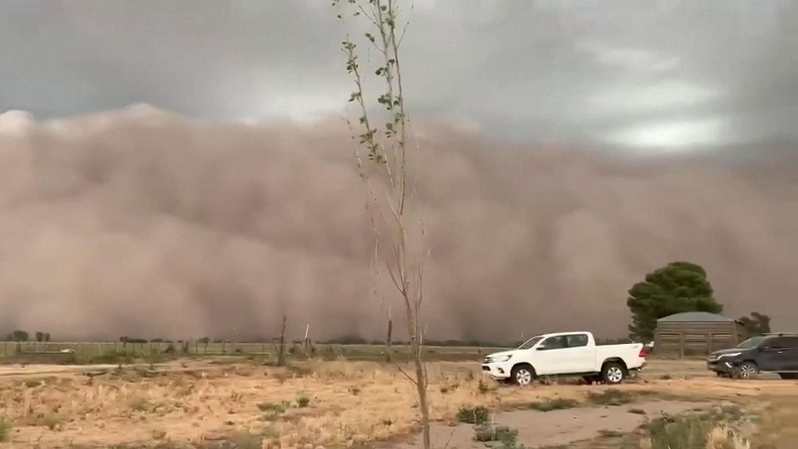 Huge dust cloud looms over trees and cars | World News | Sky News