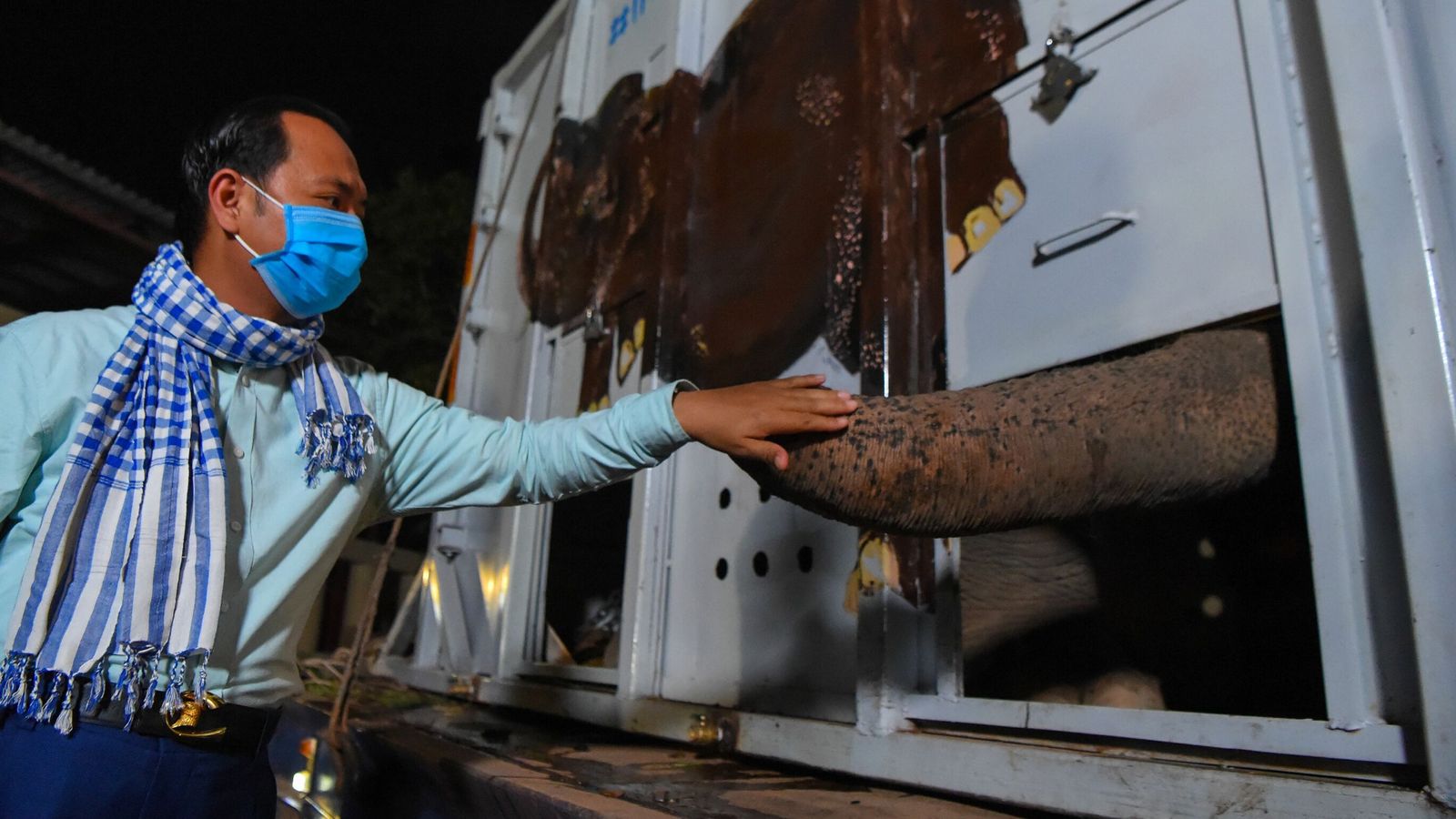 Kaavan: 'World's loneliest elephant' begins new life in Cambodia ...