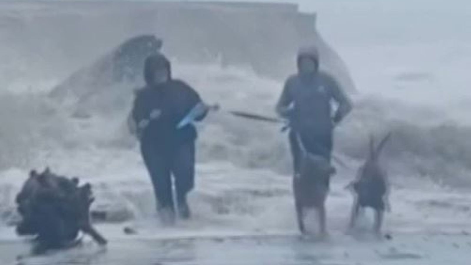 Women and dogs flee huge log being washed in by ferocious tide | US ...