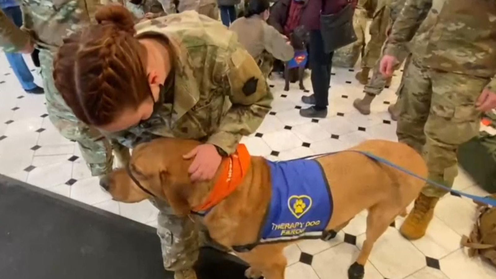 US troops visited by therapy dogs | US News | Sky News