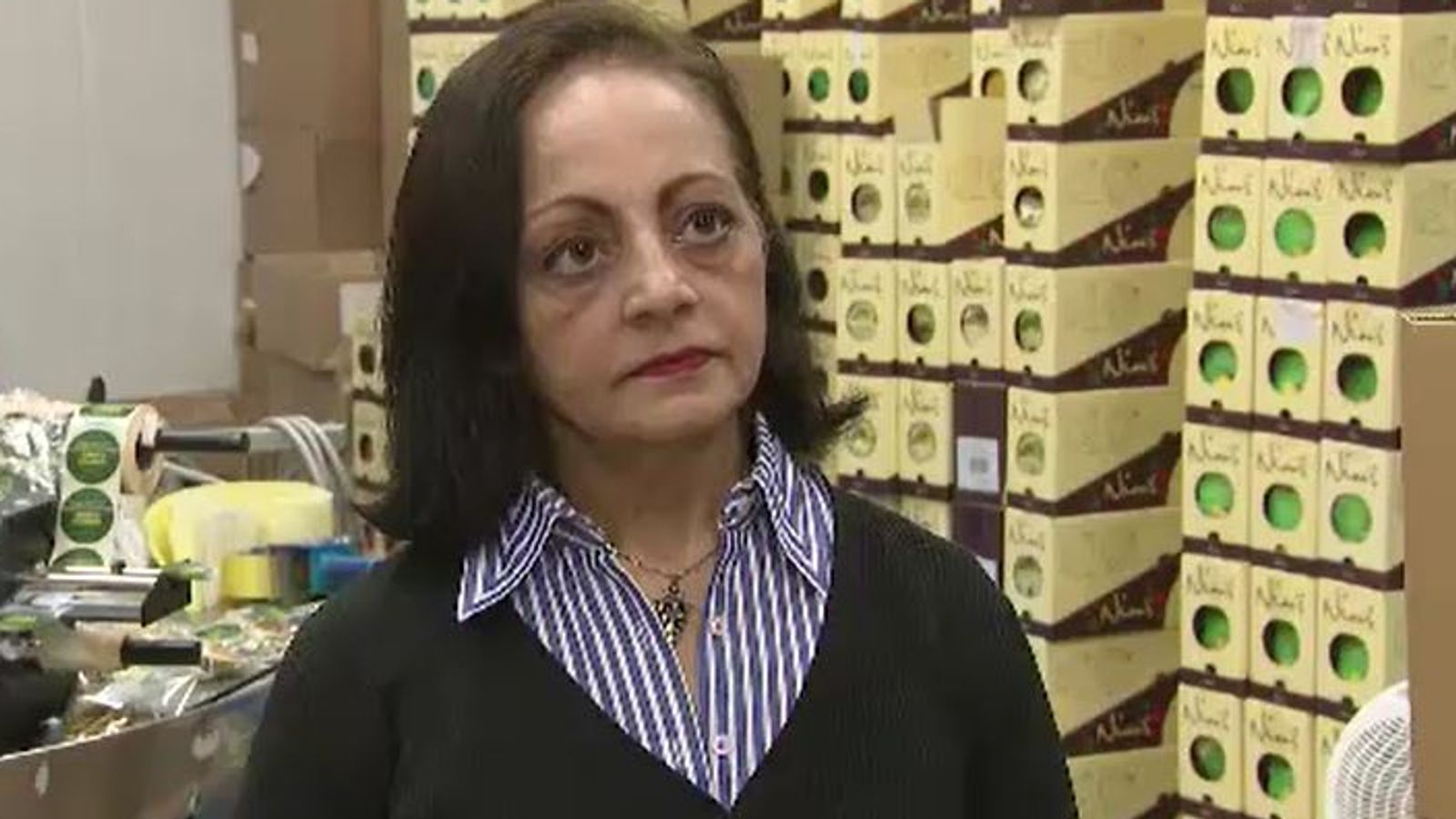 Freight traffic slumps and costs soar as Brexit friction bites | Money ...