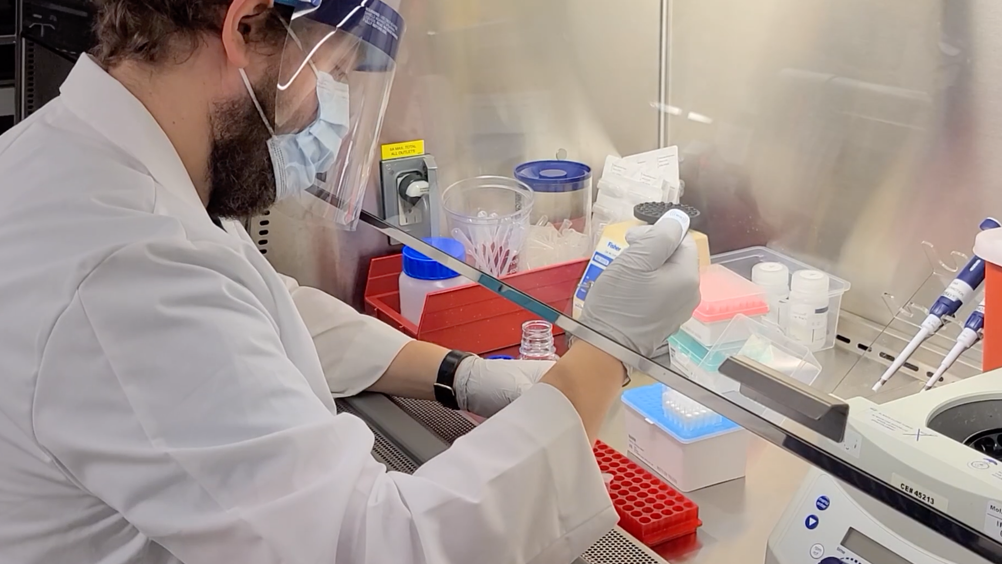 COVID-19: New variant blamed for surge in coronavirus cases in Los ...