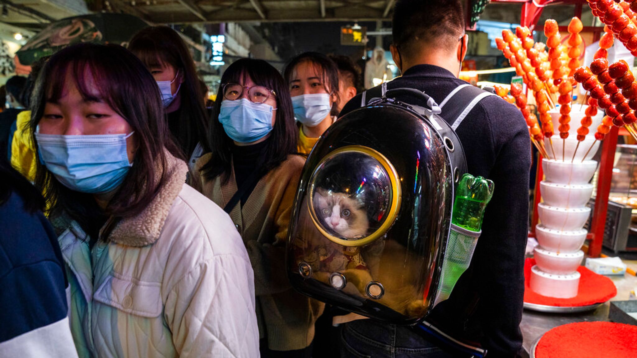 COVID-19: China blocks WHO team from entering country to study ...