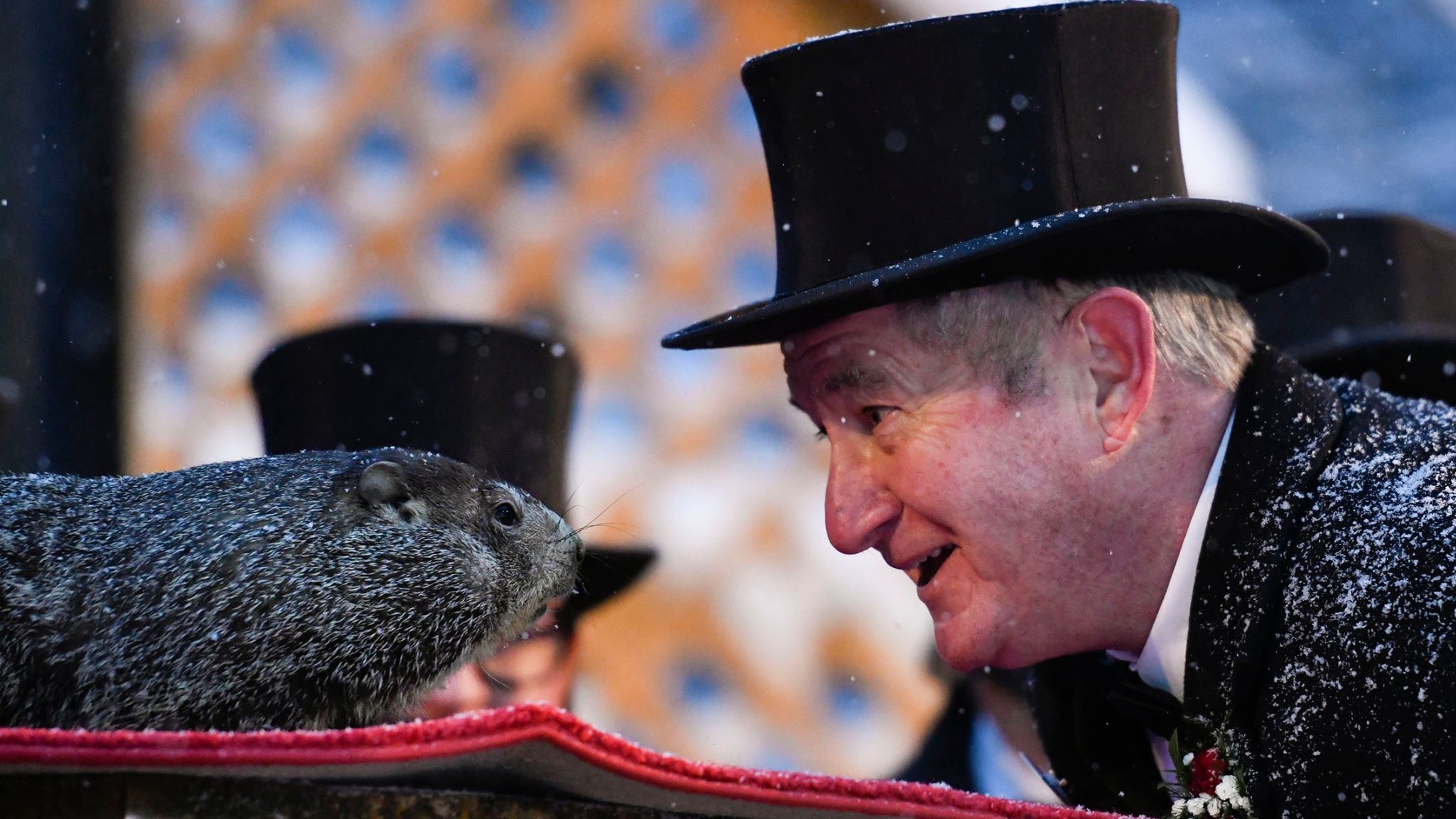 Groundhog Day: Punxsutawney Phil predicts six more weeks of winter as ...