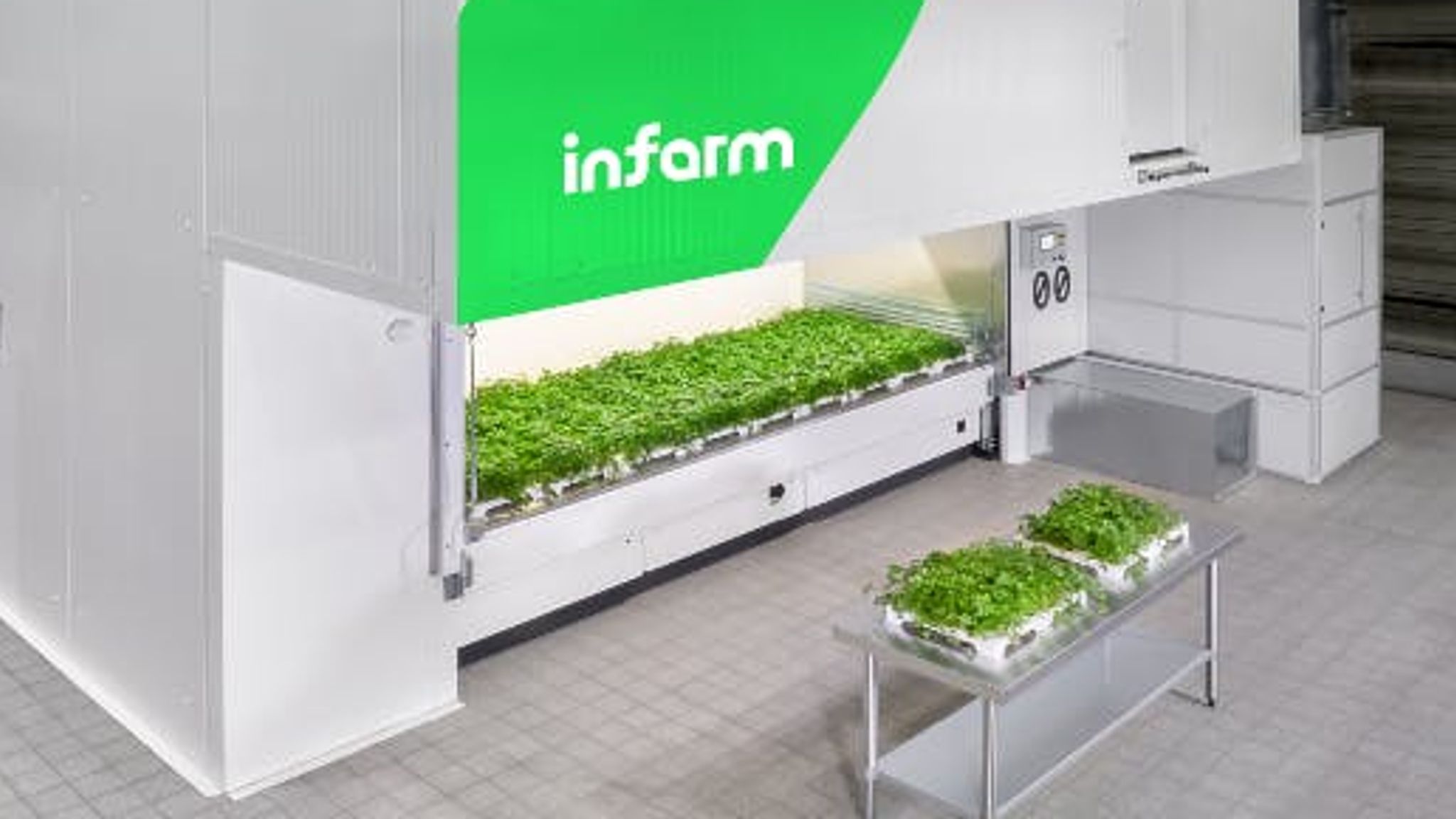 Urban agriculture giant Infarm to reap $250m from next fundraising ...