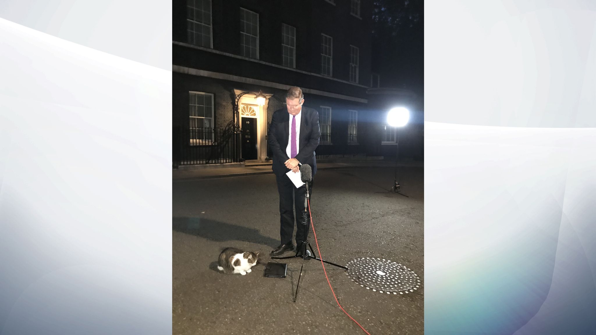 Larry the cat celebrates 10 years at 10 Downing Street | UK News | Sky News