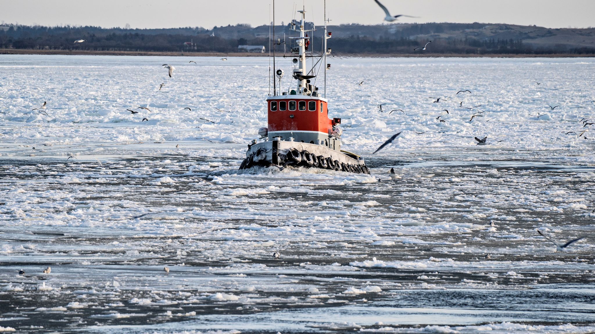 Europe weather: Deep freeze grips continent, with one lucky country ...