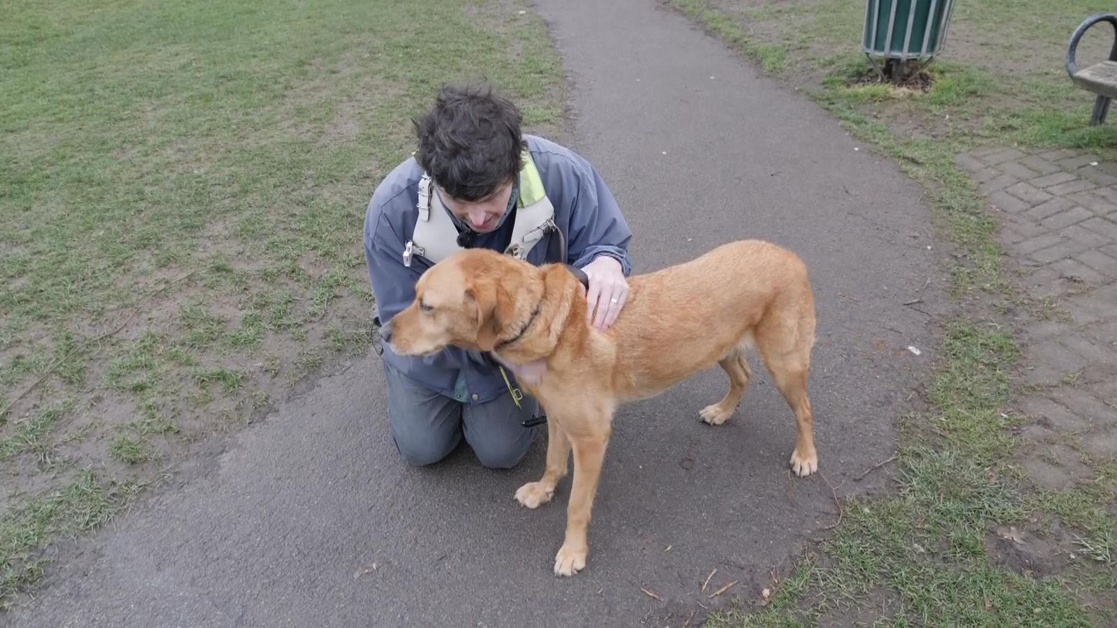 Study of 3,000 puppies aims to boost number of guide dogs that complete ...