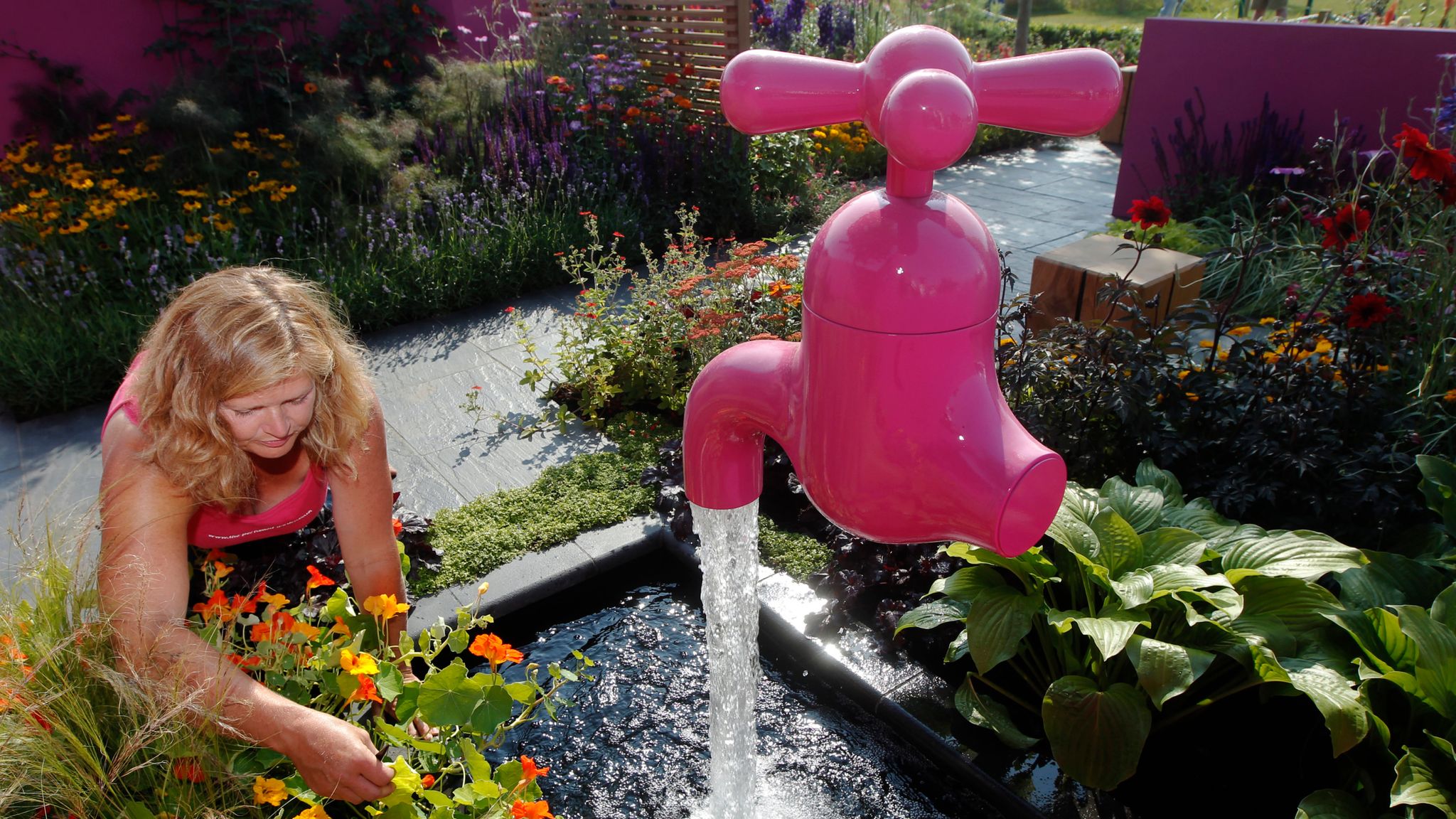 COVID-19: RHS flower shows at Hampton Court and Tatton Park given July ...