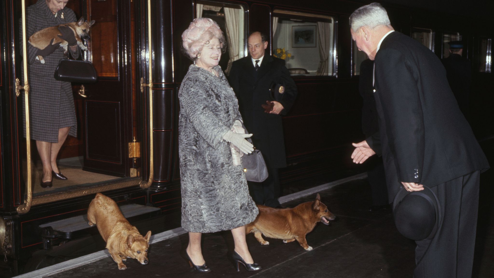 Queen gets two corgi puppies as presents during lockdown | UK News ...