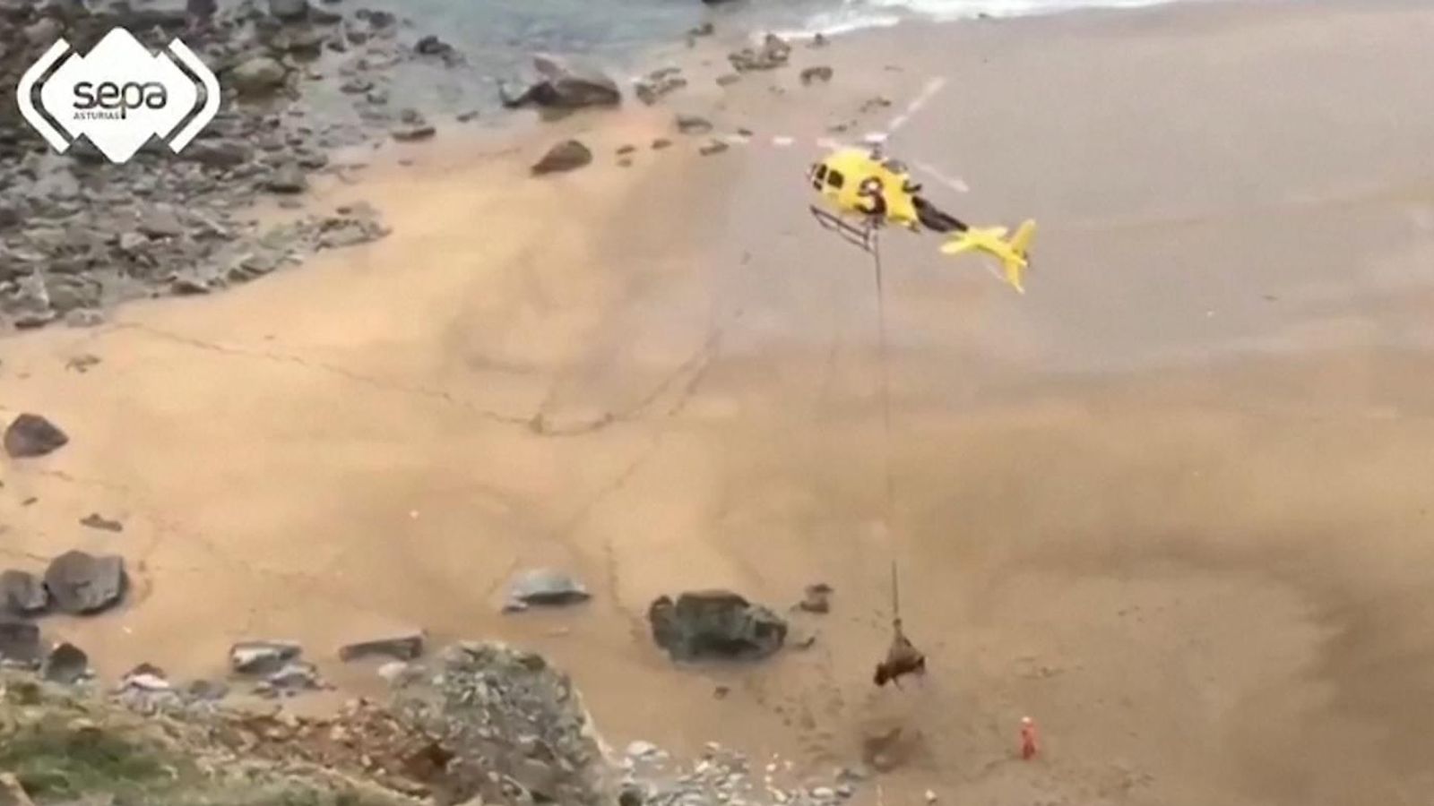 Stranded bull rescued from beach in Spain after falling off cliff ...