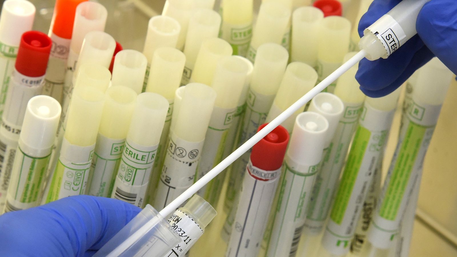 COVID-19: UK cases of South African variant rise - as Indian double ... COVID-19: UK cases of South African variant rise - as Indian double ...