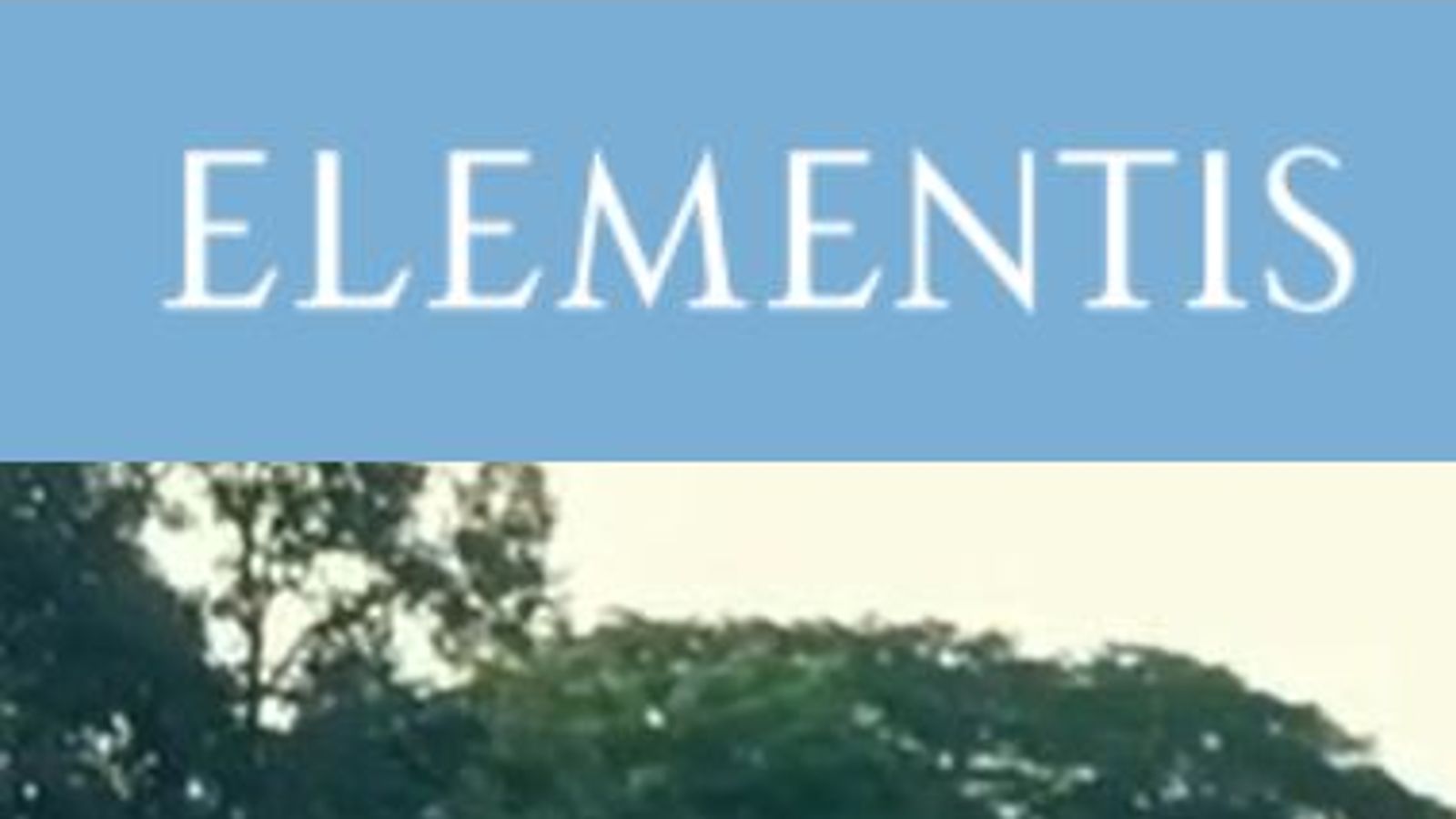 Chemicals group Elementis draws £1bn takeover interest from Nasdaq ...