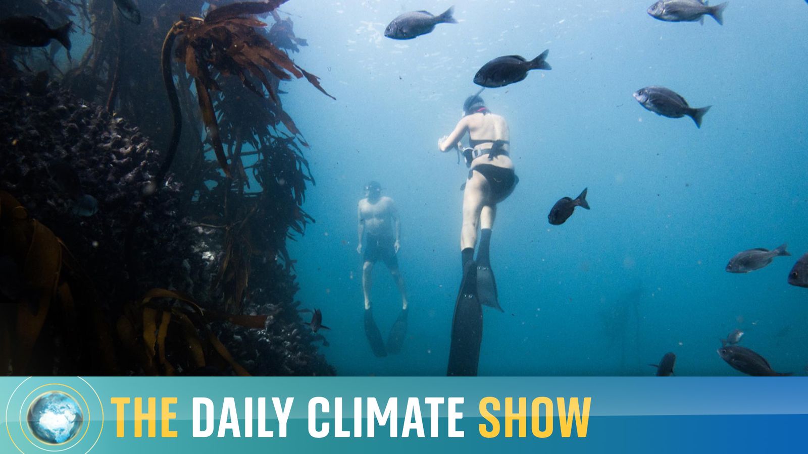 The Daily Climate Show | Sky News