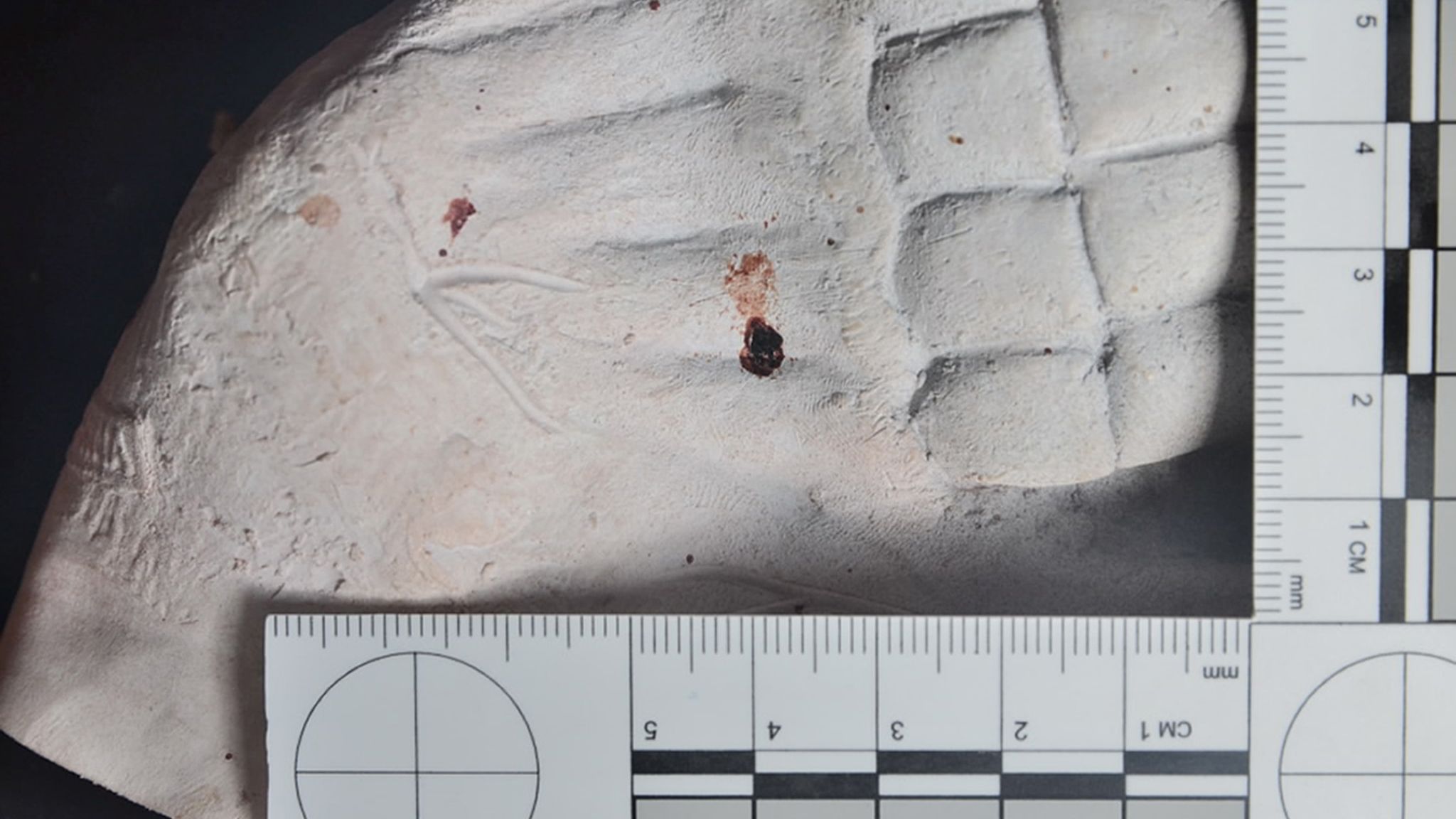 Alan Edwards sentenced to life in jail for murder of Susan Waring as ...