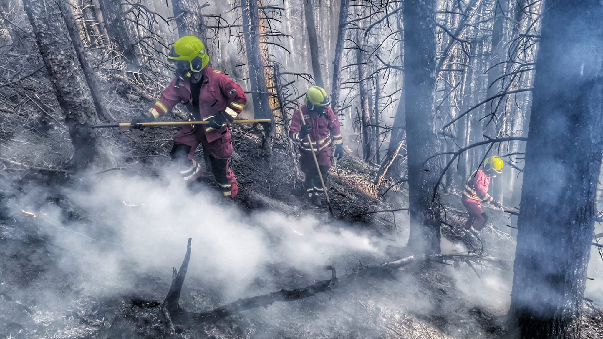 Firefighters in South Wales tackle 80 deliberate blazes over the ...