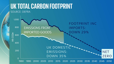 Climate change: Net-zero cannot be achieved by planting a few trees or ...