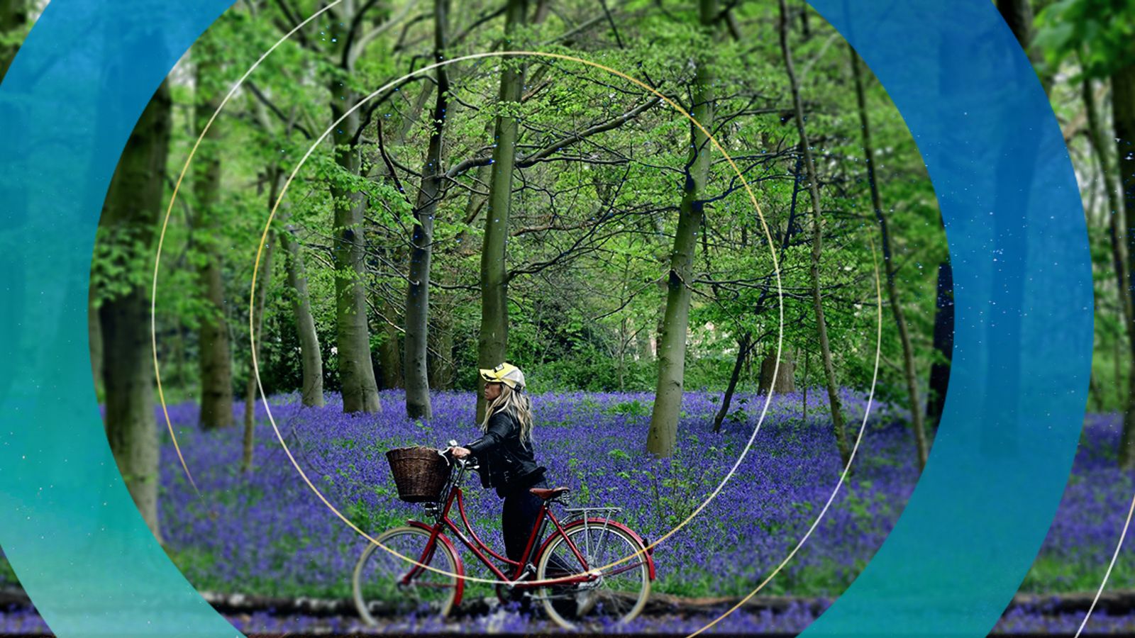 Plan to treble tree-planting rates in England for climate and nature ...