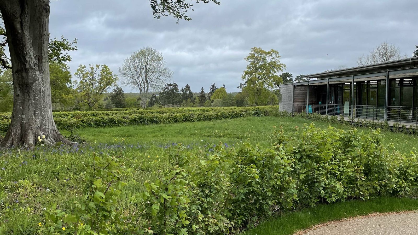 New 'living laboratory' launched by Kew Gardens to study biodiversity ...