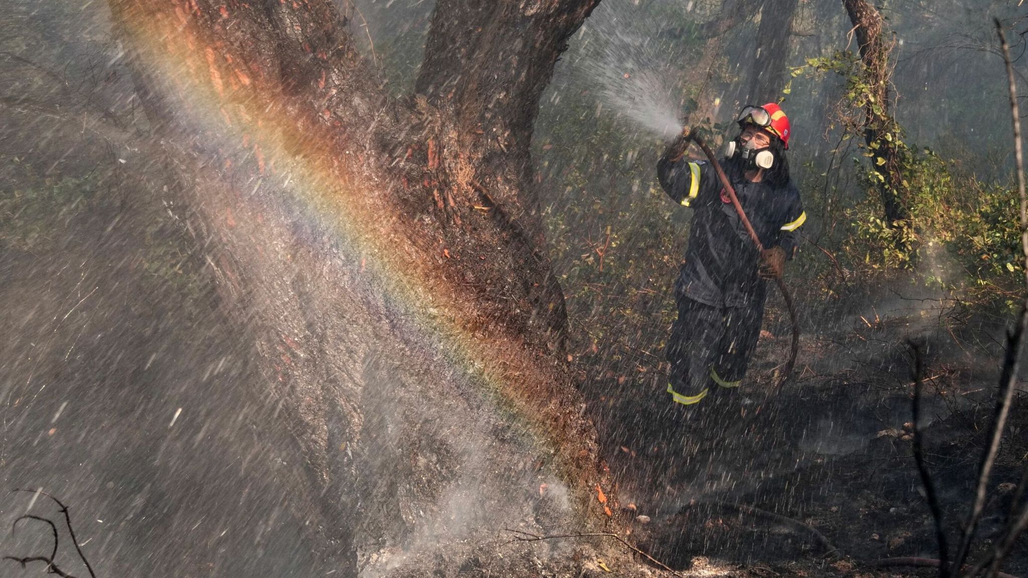 Villages evacuated after major forest fire in conservation area near ...