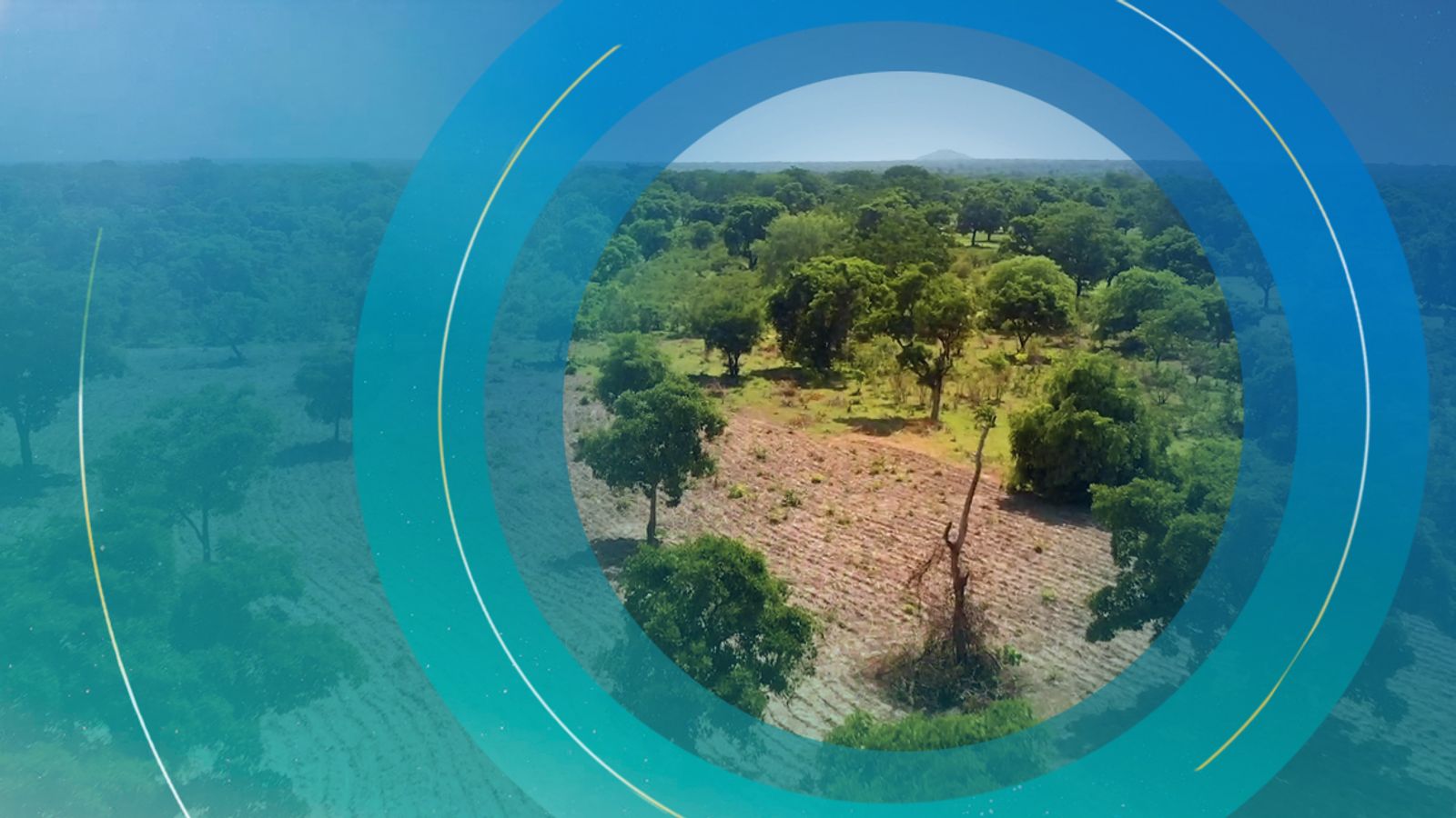 How Tree Aid is helping to restore land | News UK Video News | Sky News