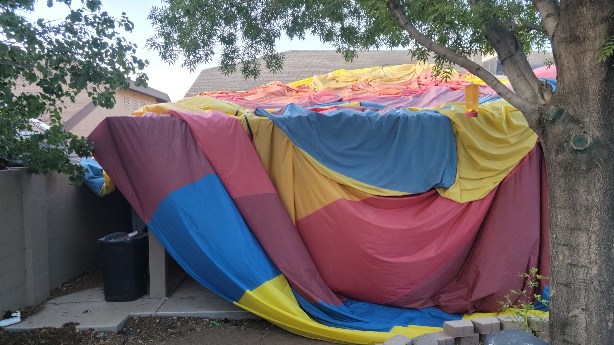 United States: Five dead after hot air balloon 'blown into power lines ...