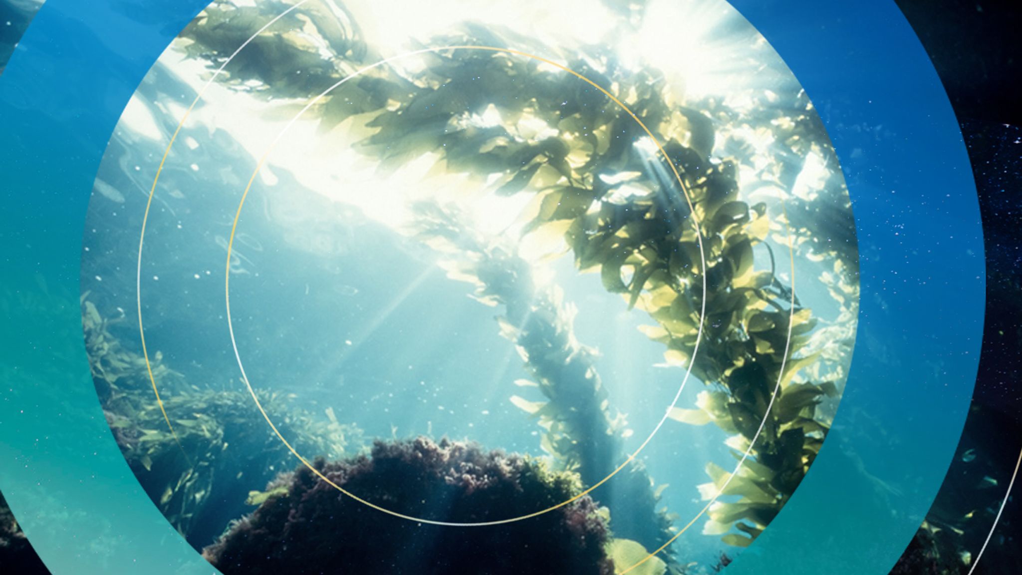 From tackling climate change, powering cars and treating COVID-19: 26 ...