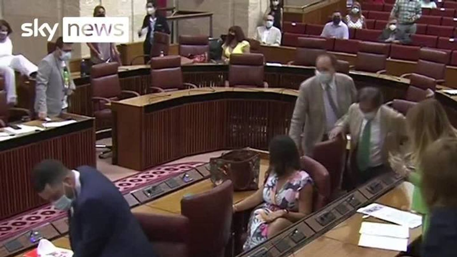 Spain: A rat causes a stir after sneaking into Andalusian parliament ...