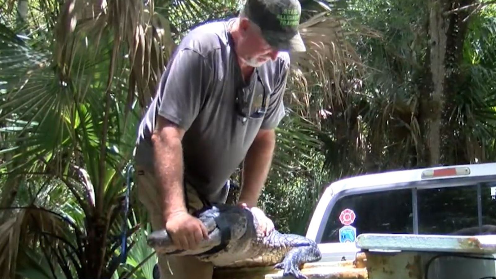 Florida: Cyclist seriously injured in alligator attack after falling ...