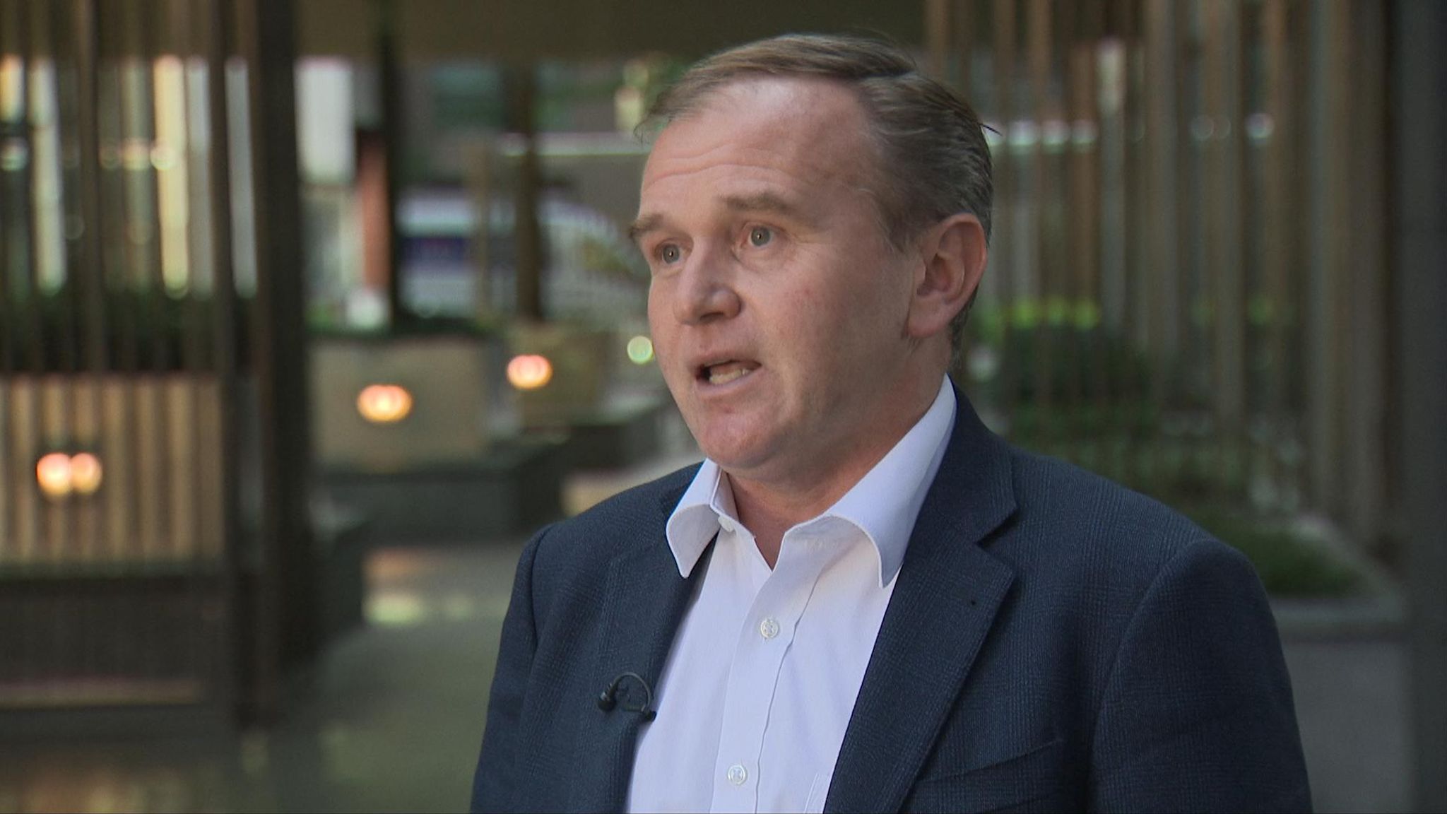 Dognappers could face up to five years in jail after rise in pet thefts ...