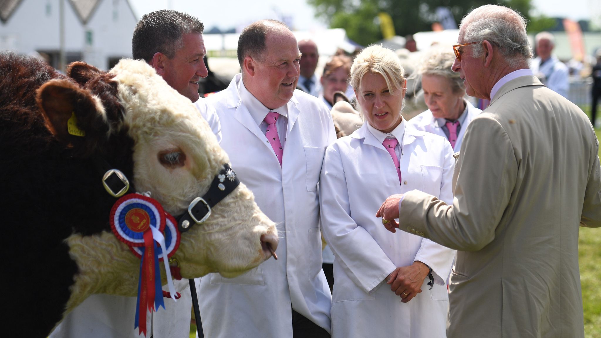 'I told him it was luck!': Prince Charles steps on cow pat at Great ...