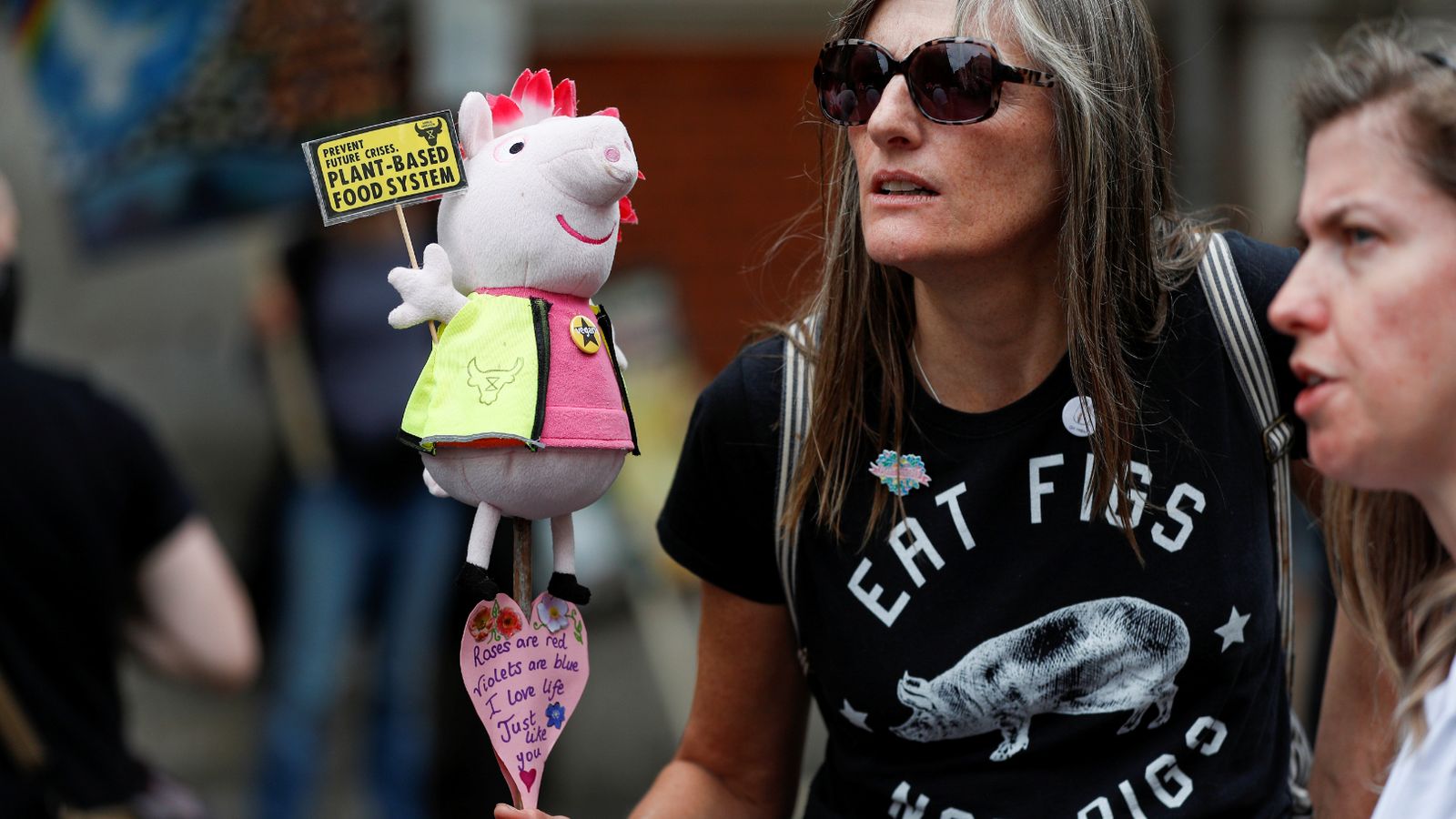 Animal Rebellion: Hundreds of animal rights protesters linked to ...