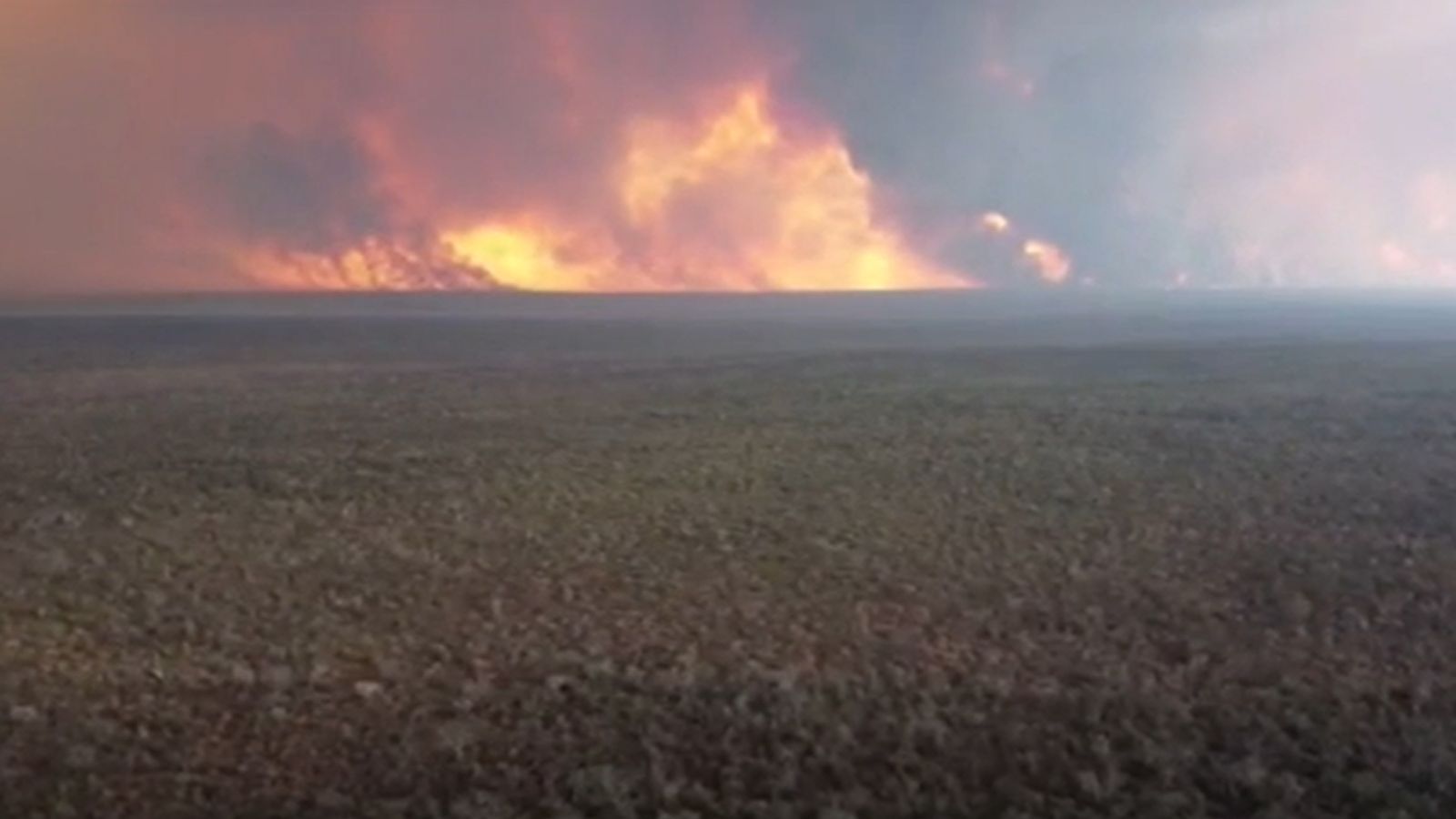 Massive wildfires devastate protected area of Bolivian forest | World ...