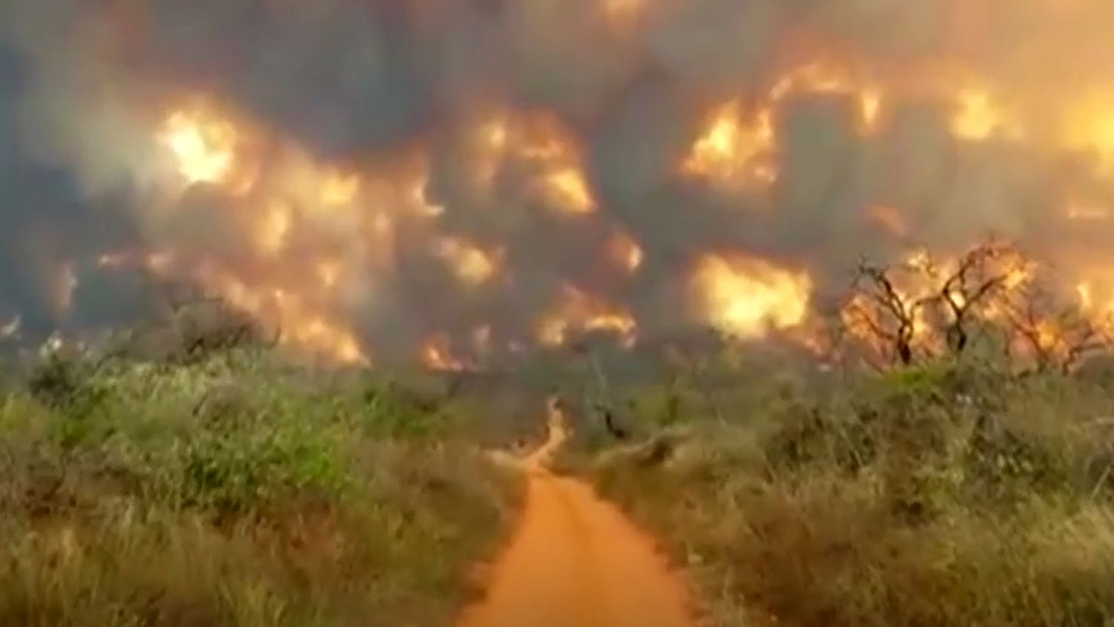 Massive wildfires devastate protected area of Bolivian forest | World ...