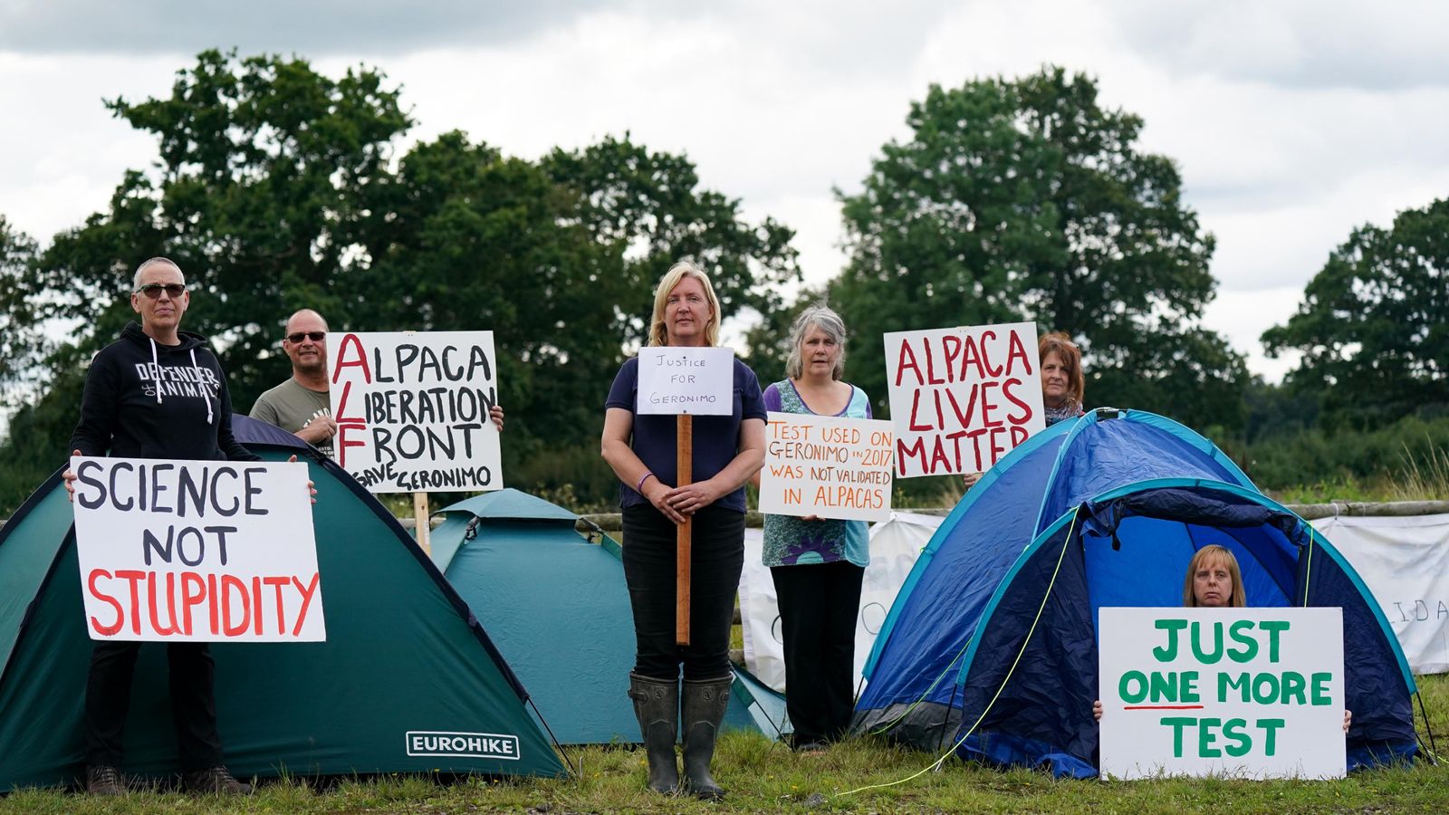 Owner of Geromimo the alpaca says international support gives her 'hope ...