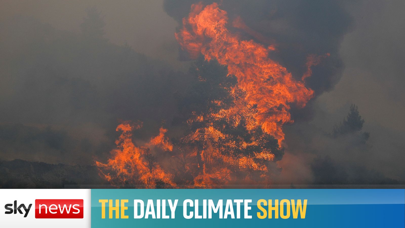 The Daily Climate Show | News UK Video News | Sky News