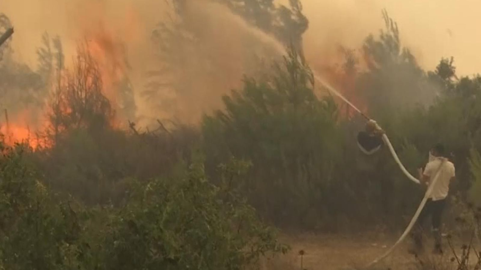 Israel: Firefighters tackle wildfire in Jerusalem | World News | Sky News