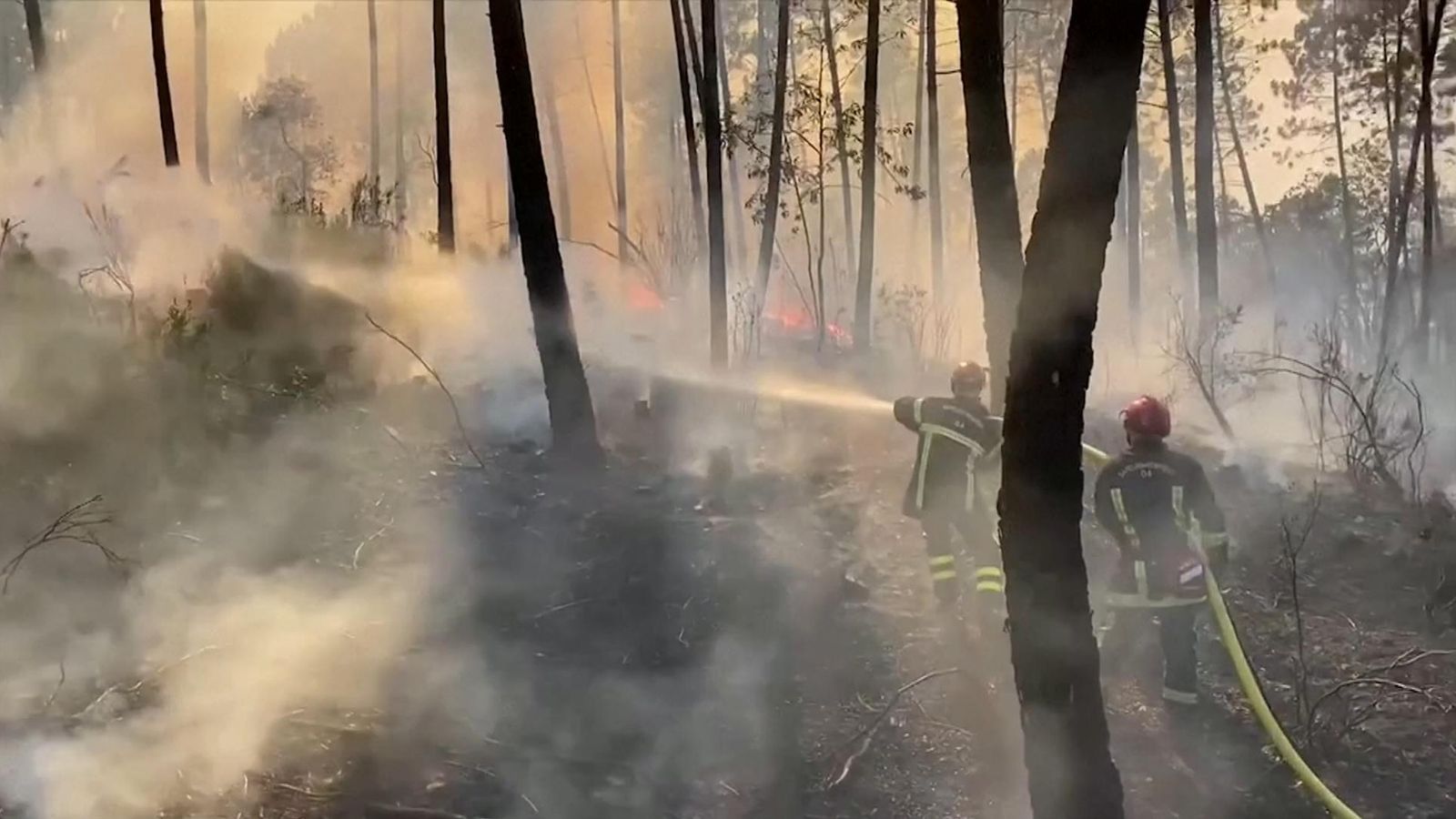 France: Aircraft help battle wildfires in southern Var region | Sky News